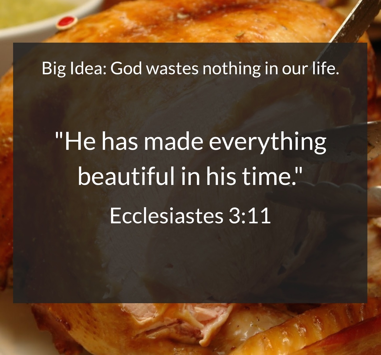 Nothing is Wasted – Bible Devotions for Teens