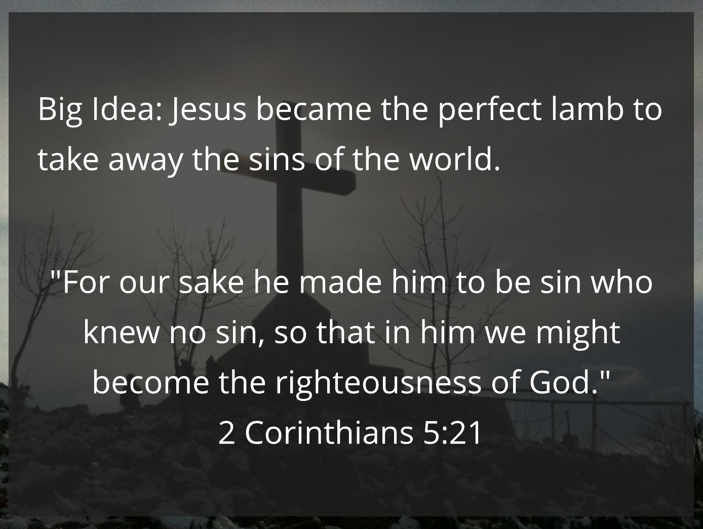The Perfect Sacrifice – Bible Devotions for Teens